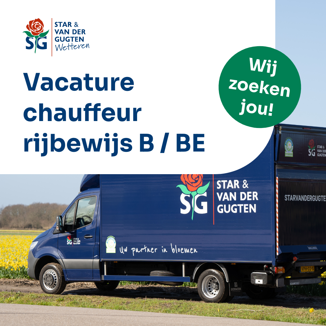 Vacature: Flexi Job – Chauffeur & Magazijn Medewerker - Star van der Gugten Wetteren